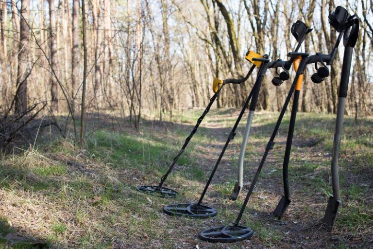 10 Best Metal Detectors In 2022 - Reviews Of ALL Budgets